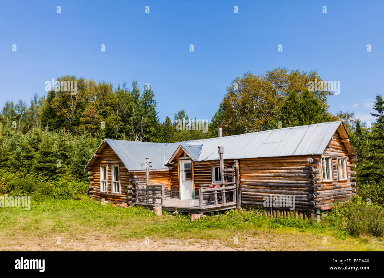 Log Wood Shack in a Canadian Forest Stock Photo - Alamy