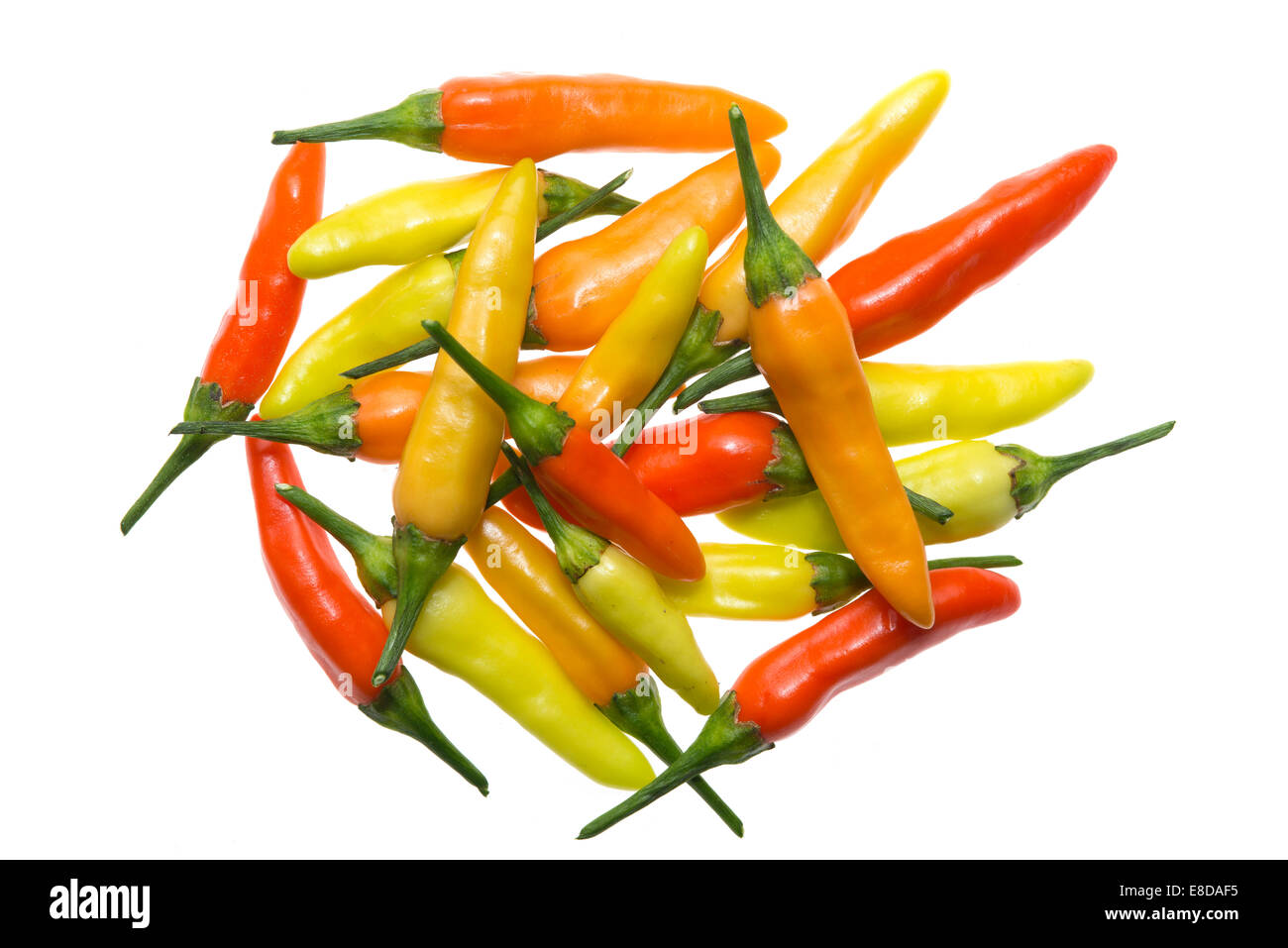 Chili peppers, various stages of ripeness, yellow, orange, red Stock ...