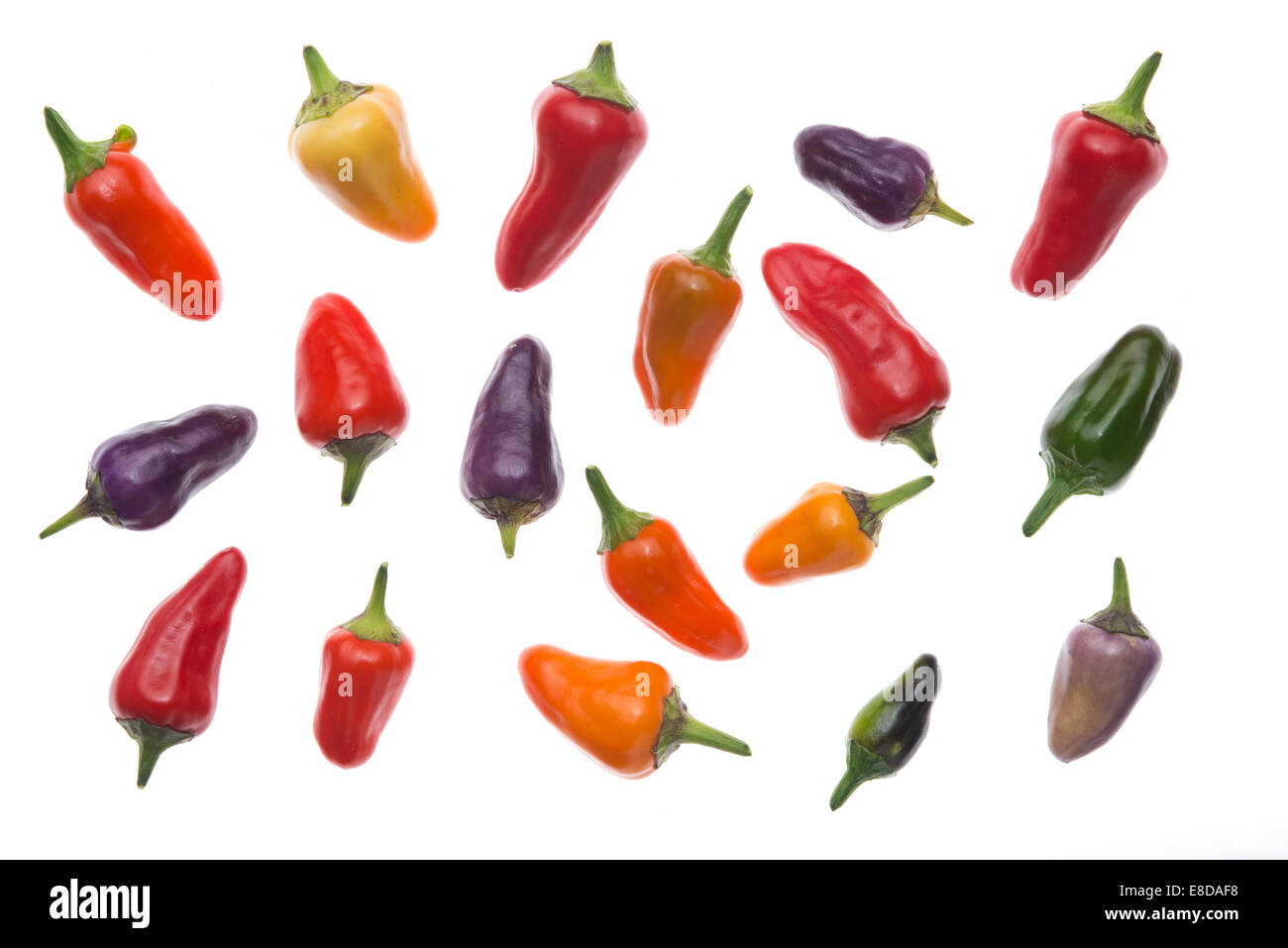 Bell Peppers Different Stages Of Ripeness at Willis Beane blog