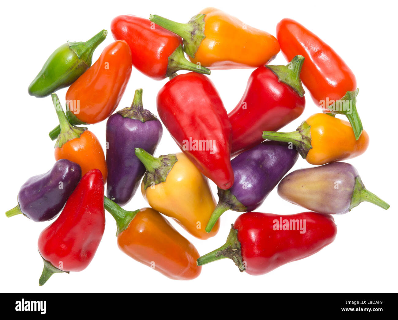 Siberian House peppers, different stages of ripeness Stock Photo - Alamy
