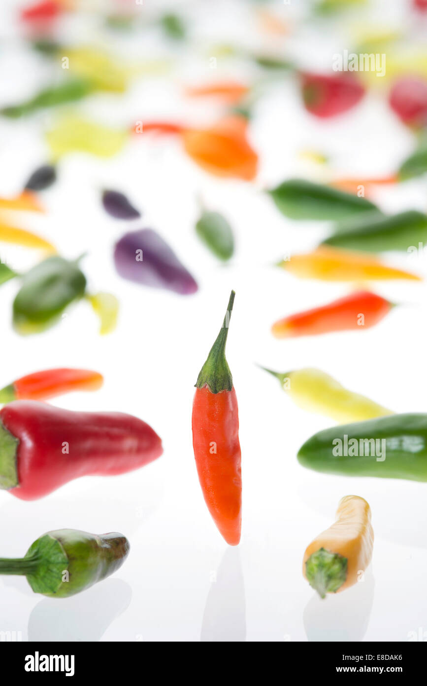Various chili peppers hi-res stock photography and images - Alamy