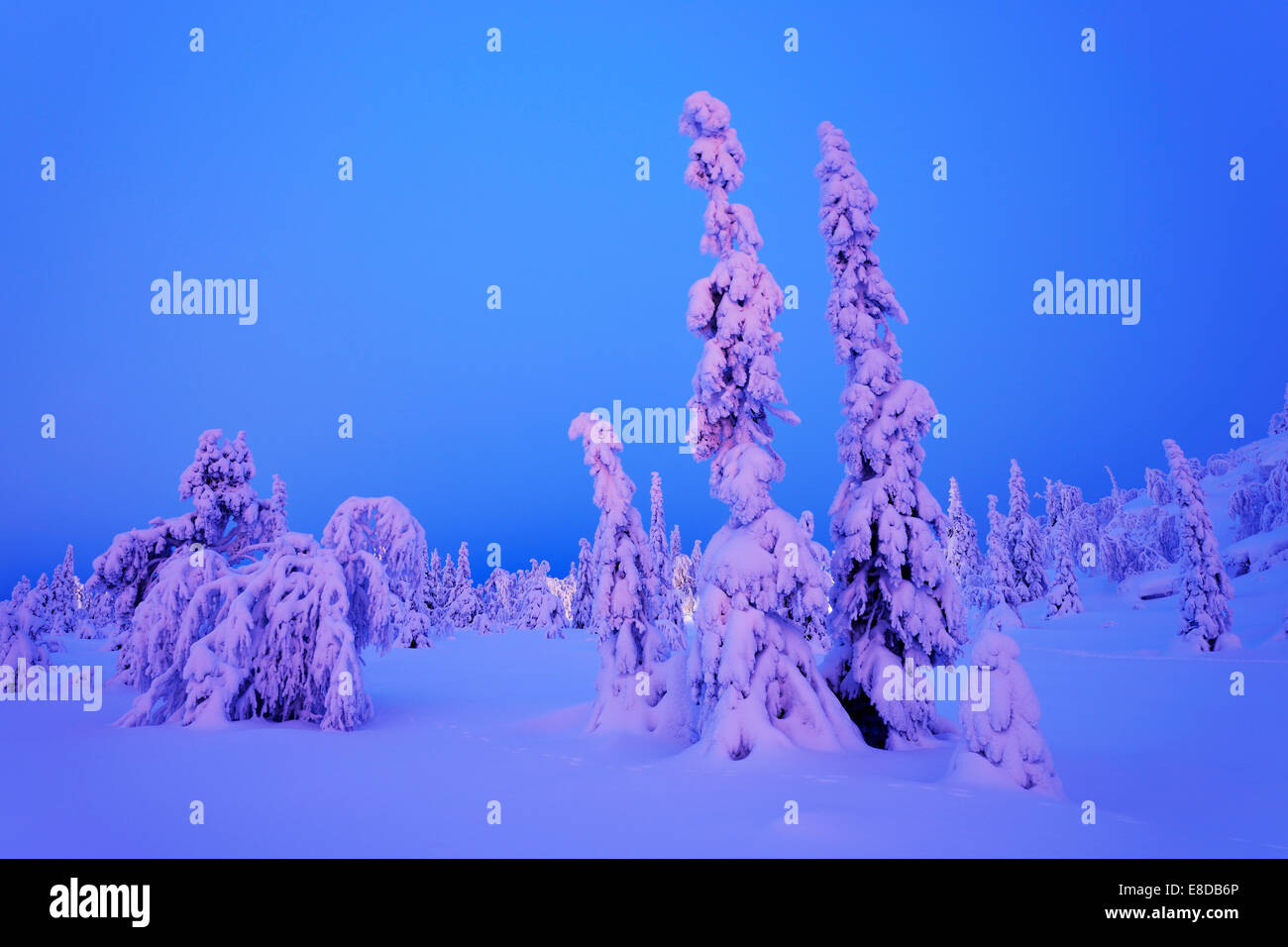 Syote finland hi-res stock photography and images - Alamy