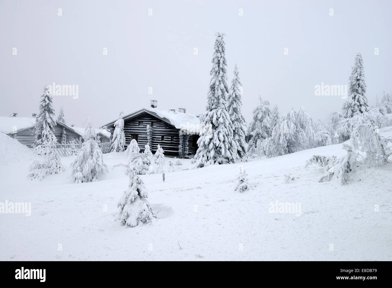 Finnish log cabin in the snow-covered landscape, Iso Syöte, Lapland ...