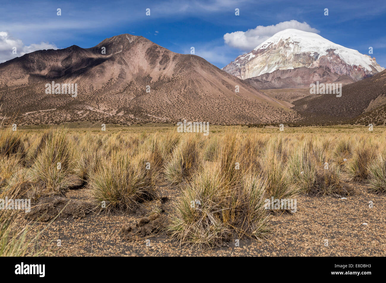 Sajama Volcano, Sajama National Park, Altiplano Highlands, Bolivia ...