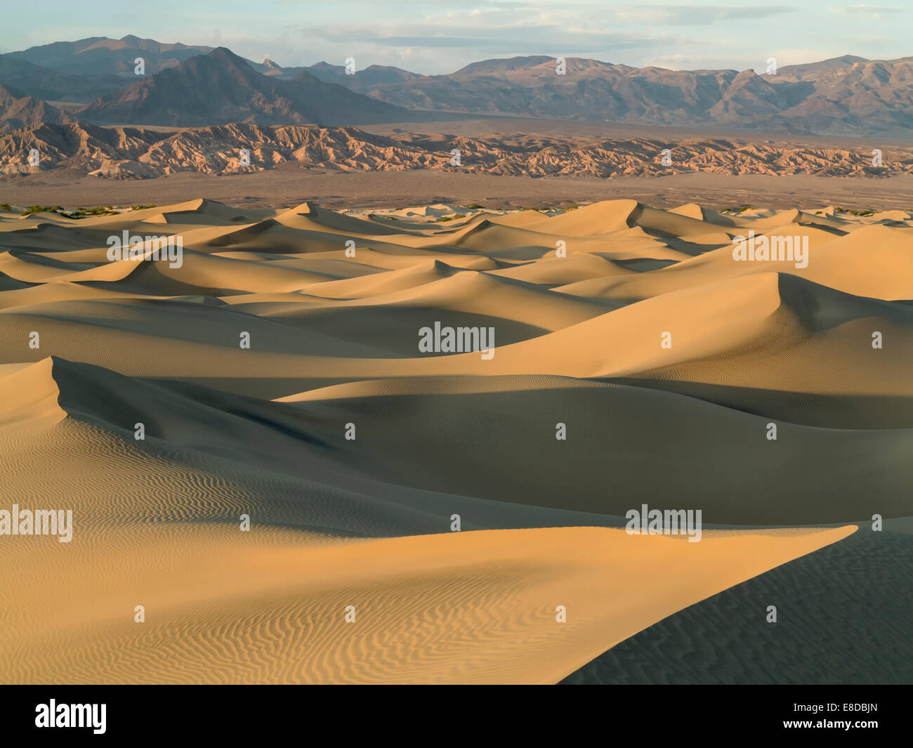 Mesquite Flat Sand Dunes in the evening light, Amargosa Range in the ...