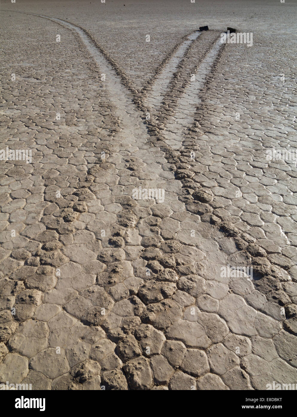 Tracks created by the mysterious moving rocks at the "Racetrack", a dry ...