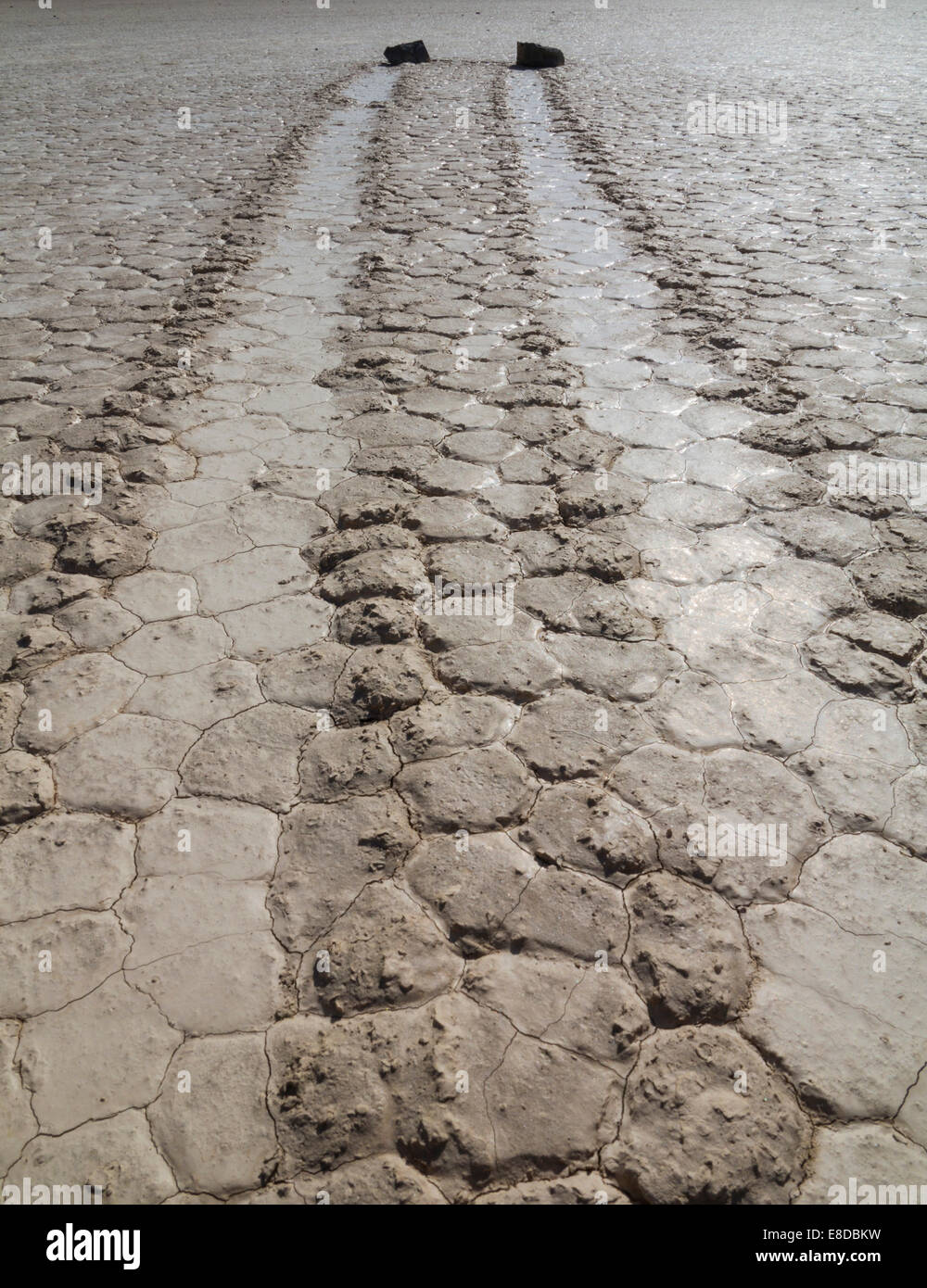 Tracks created by the mysterious moving rocks at the "Racetrack", a dry ...