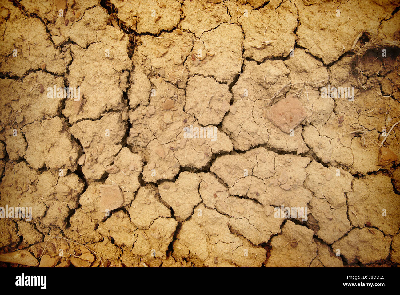 Dry yellow soil in the desert. Texture for background Stock Photo - Alamy