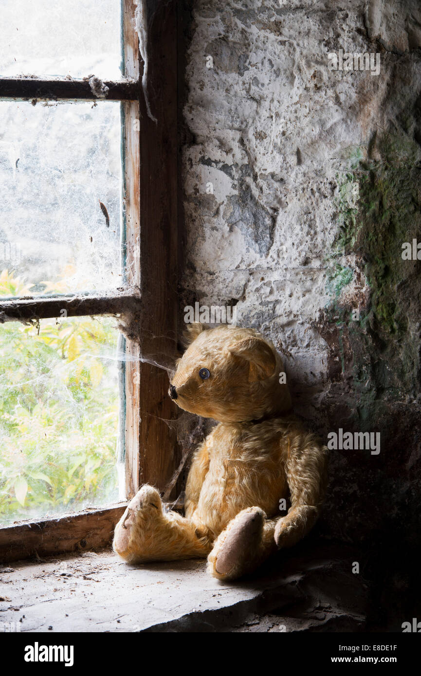 Threadbare One Eyed Teddy bear on an old window ledge Stock Photo - Alamy