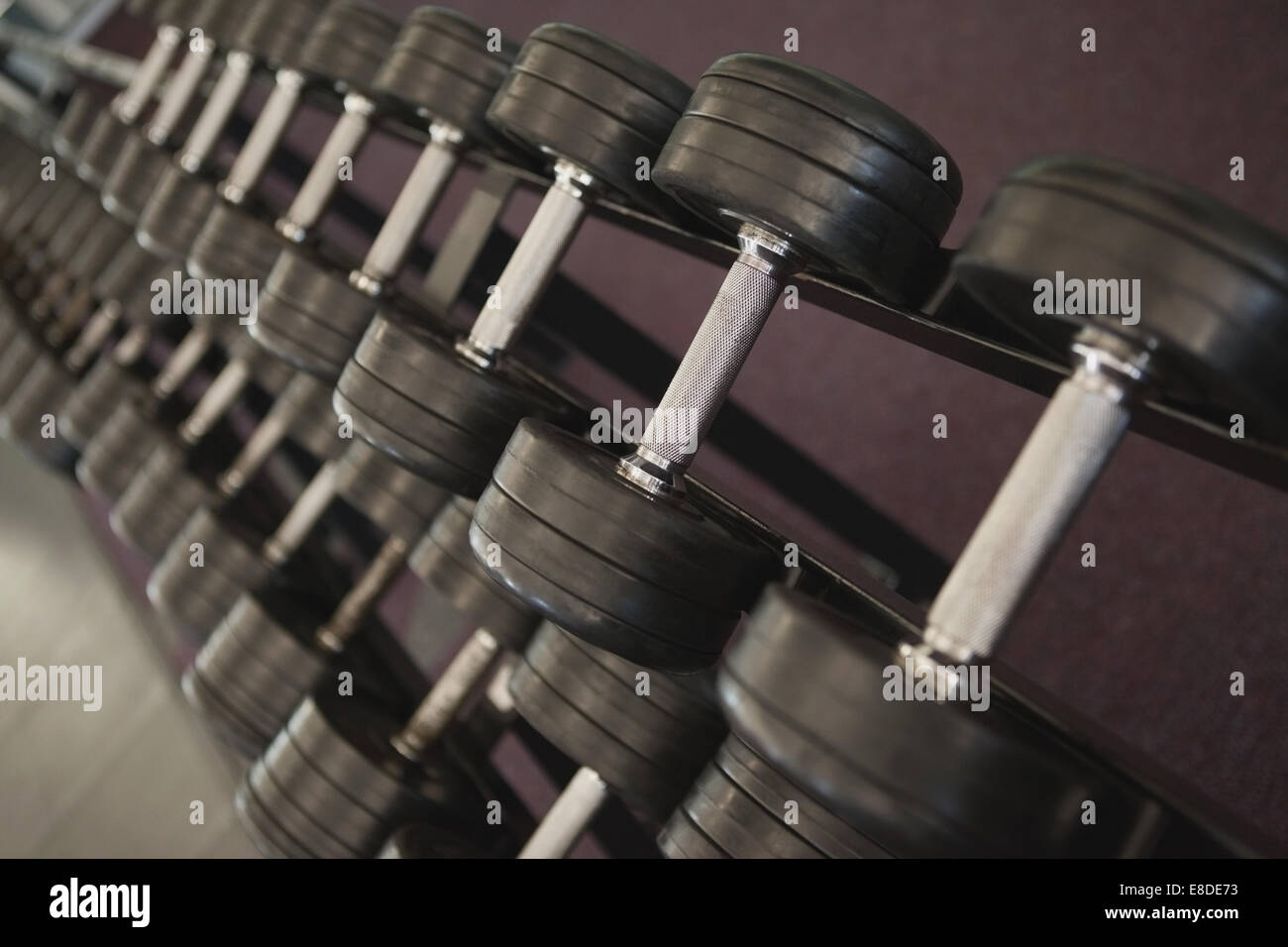 Heavy black dumbbells on rack in weights room Stock Photo - Alamy