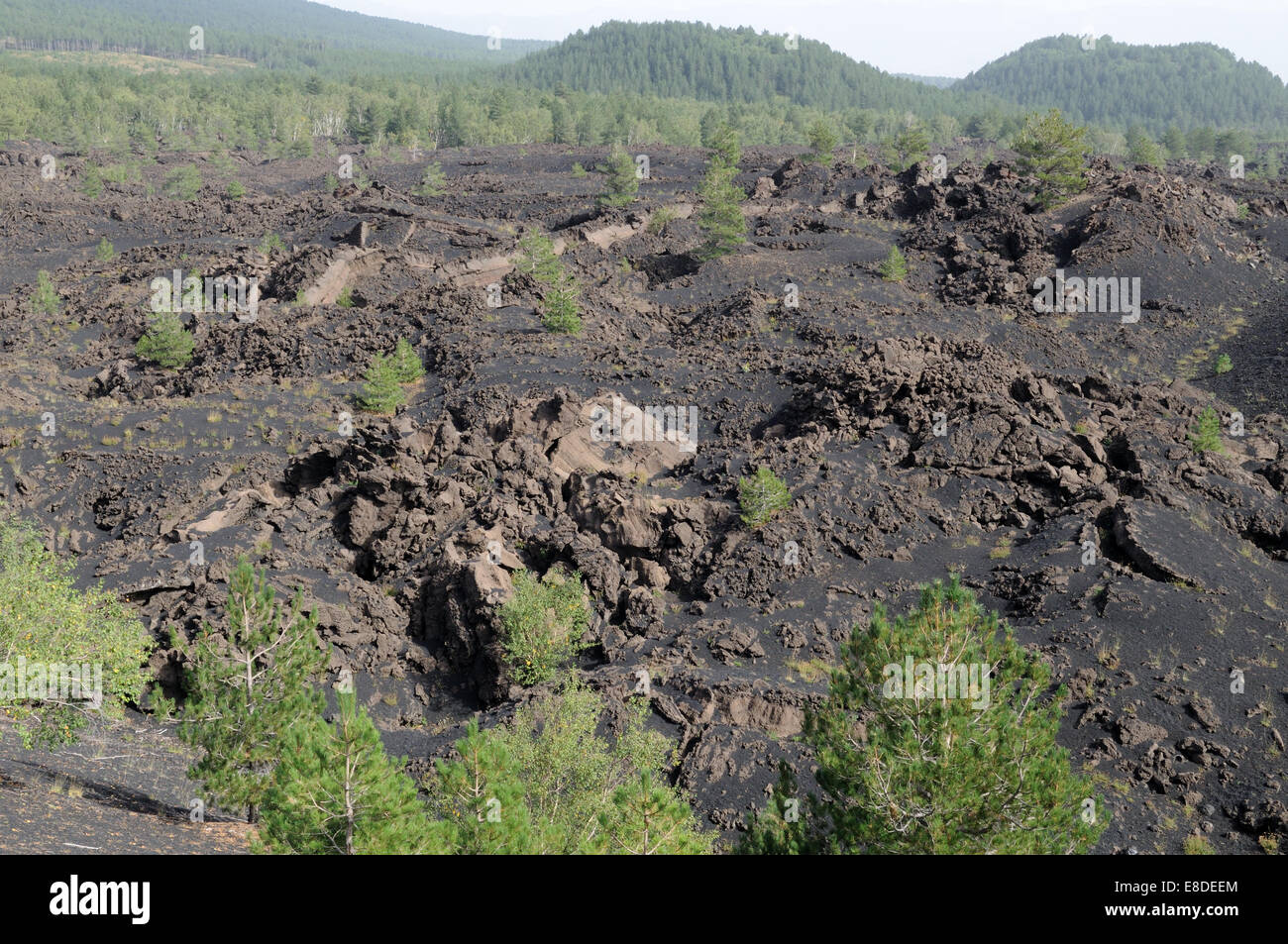 Lumps of twisted lava caused by the 2002 eruptions of Mount Etna Sicily ...