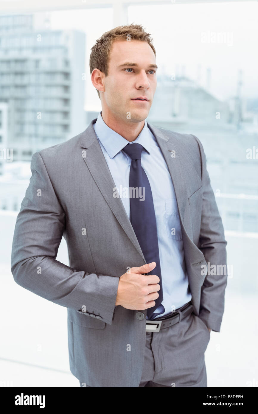 Smart businessman in suit hi-res stock photography and images - Alamy