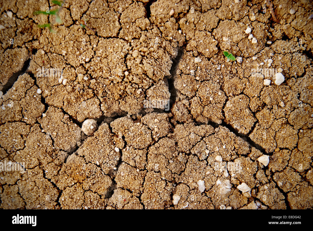 Dry yellow soil in the desert. Texture for background Stock Photo - Alamy