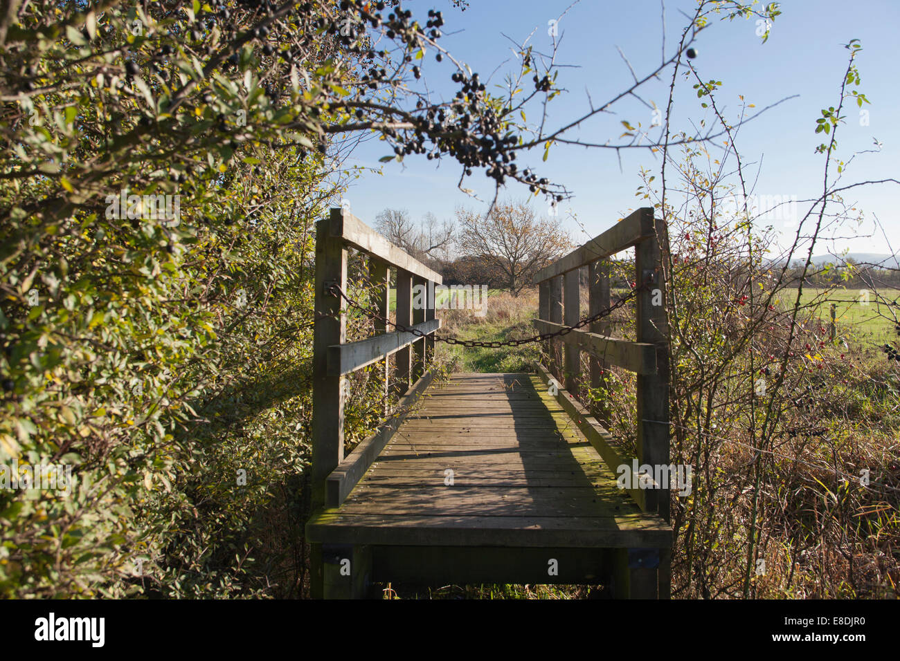 Old wooden bridge over river Stock Photo - Alamy
