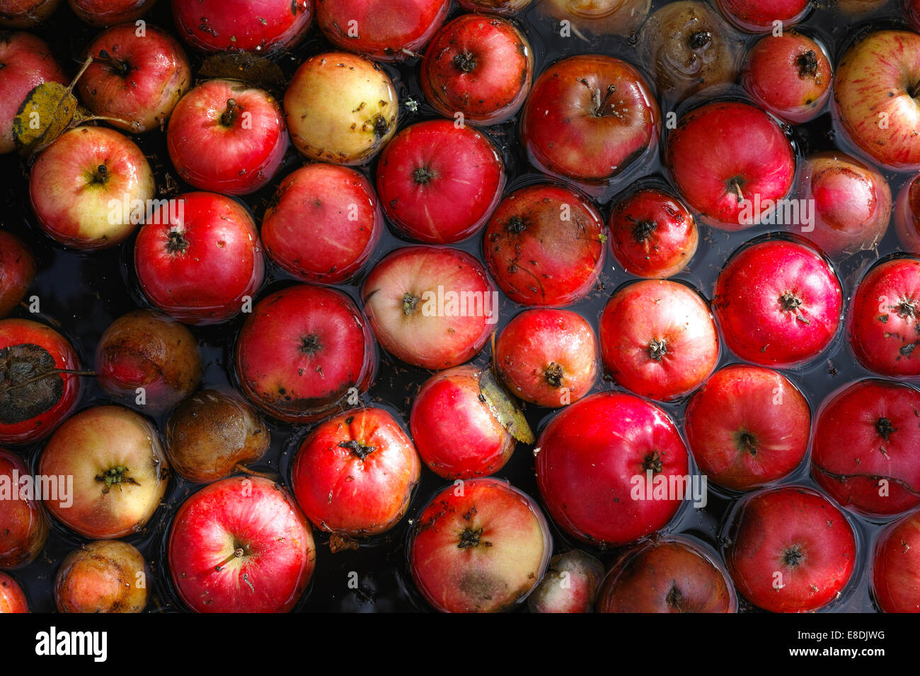 Floating fruit hi-res stock photography and images - Alamy