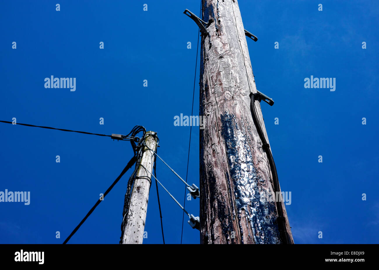 Telegraph wires cables hi-res stock photography and images - Alamy