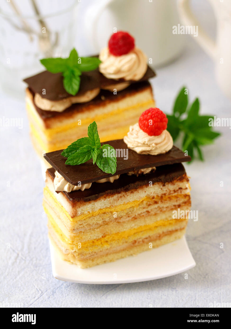 Sponge cake with custard and tiramisu. Recipe available Stock Photo - Alamy