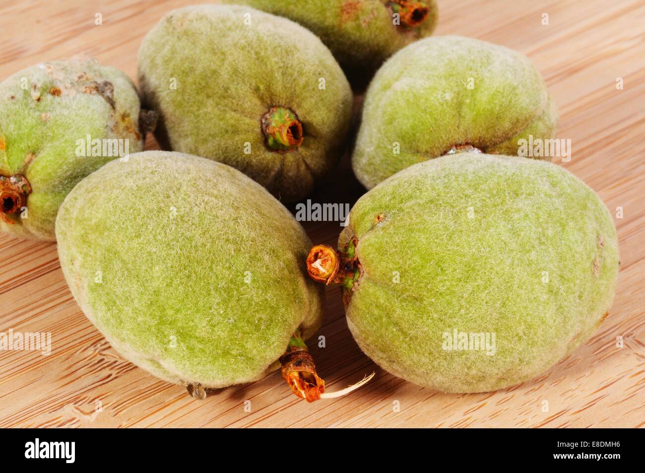 Almonds in their furry pods Stock Photo - Alamy