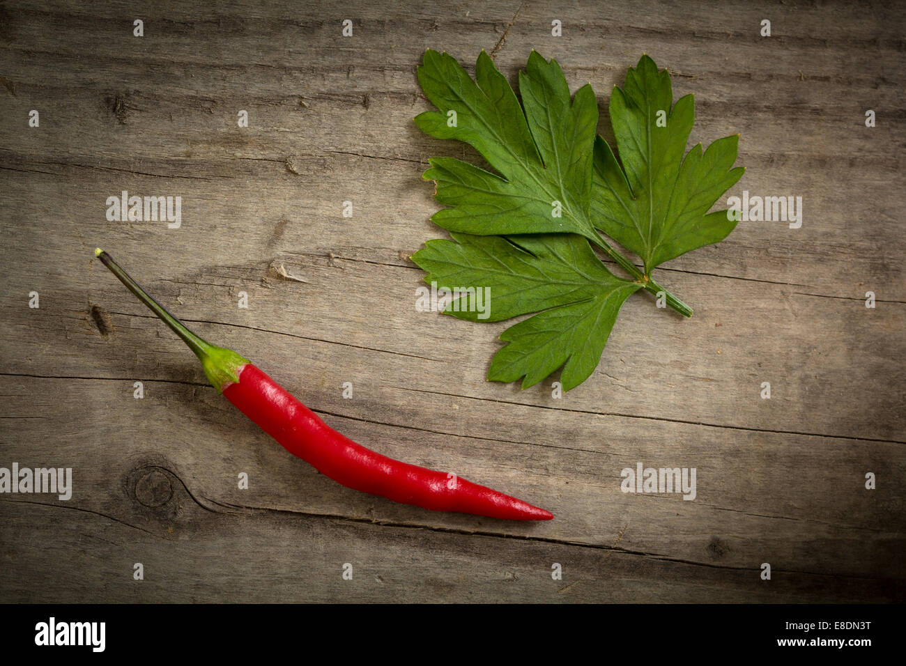 Single red chilli pepper hi-res stock photography and images - Alamy