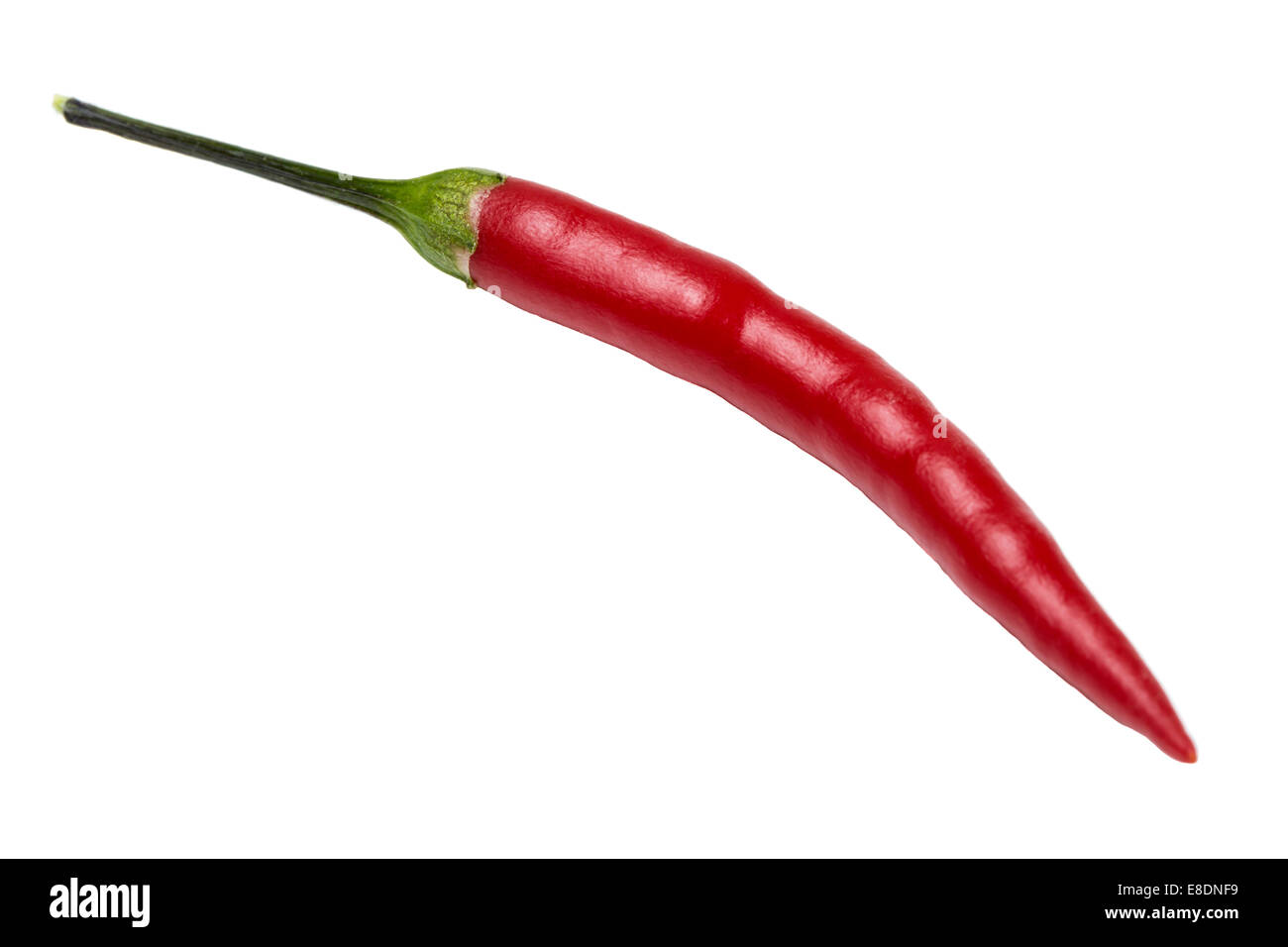 Red chilli isolated on a white background Stock Photo - Alamy