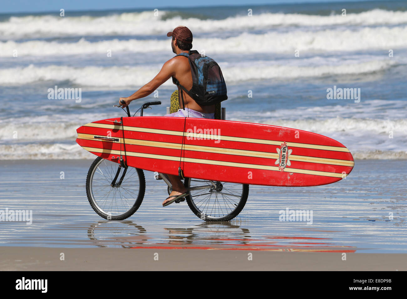 Surfer cycling on the beach Stock Photo - Alamy