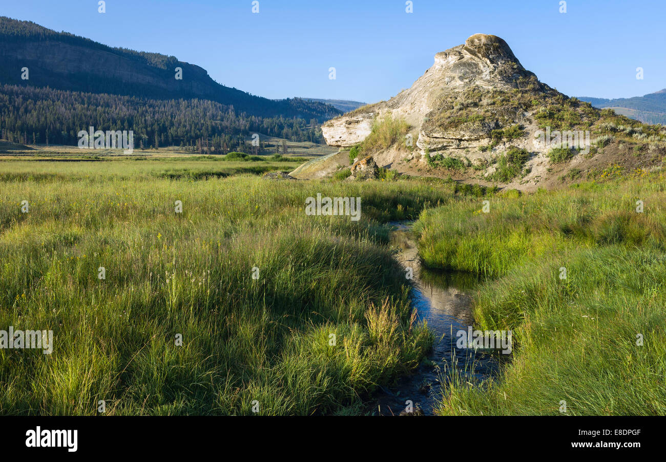 A soda butte, travertine, caused by hot springs many years ago in the ...