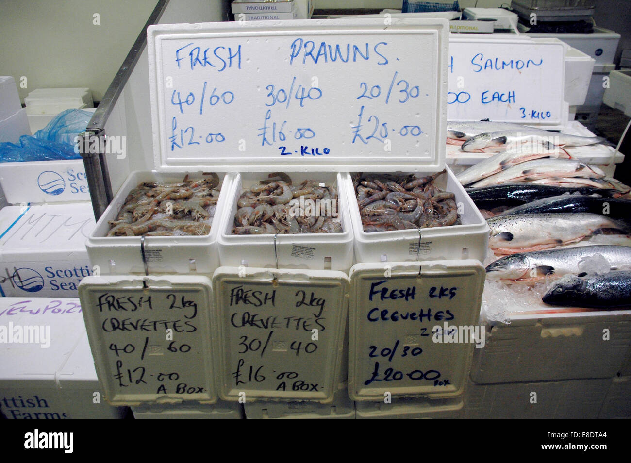 Prawns on display in Billingsgate Fish Market, London Stock Photo - Alamy
