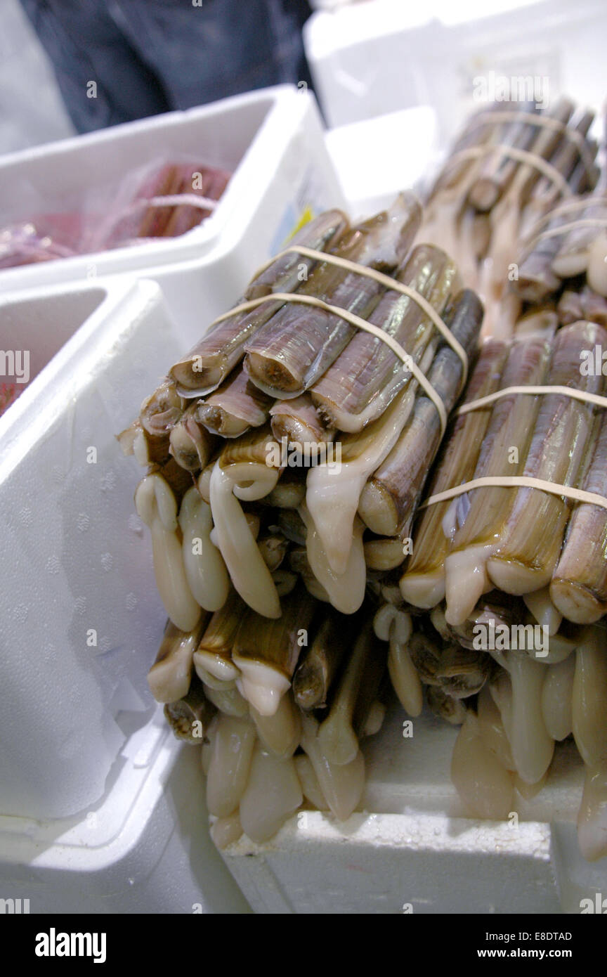 Razor display hi-res stock photography and images - Alamy