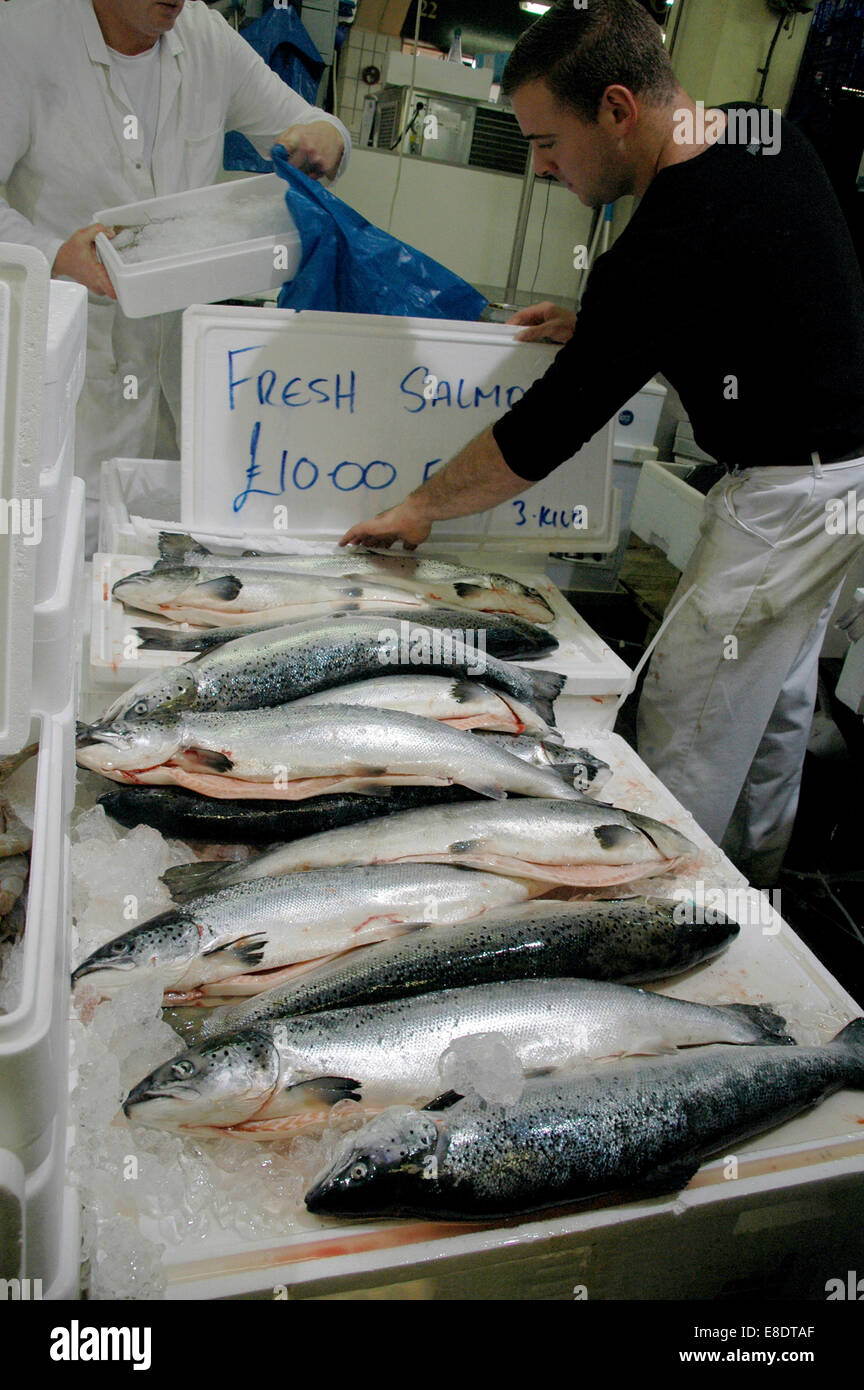 Fresh Salmon on display in Billingsgate Fish Market, London Stock Photo ...
