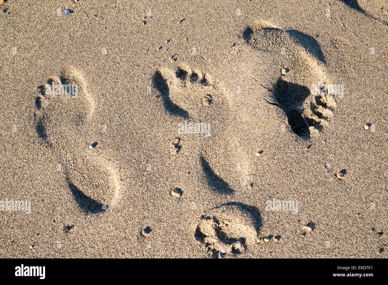 footsteps in the sand Stock Photo - Alamy