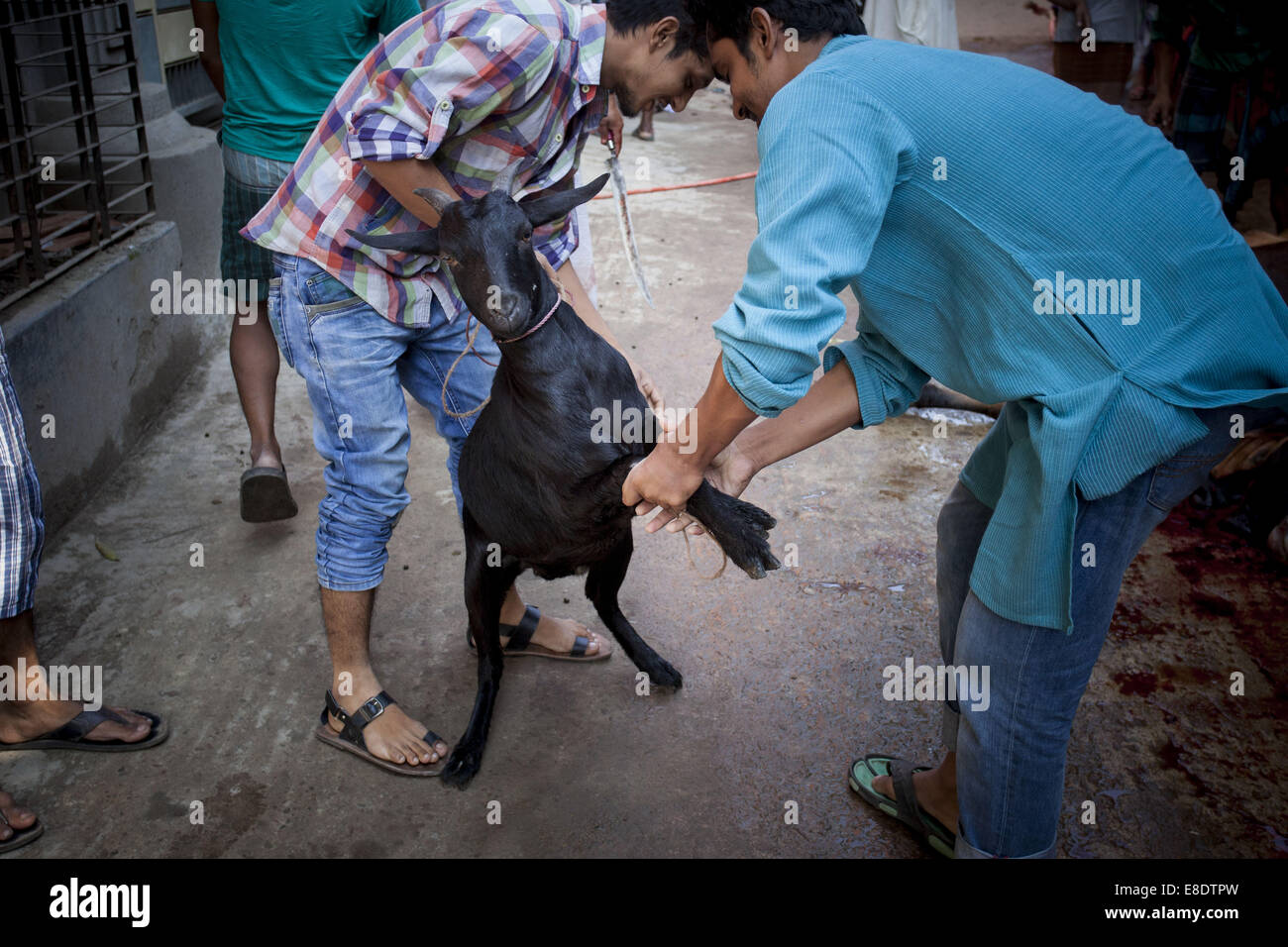 Dhaka, Bangladesh. 6th October, 2014. Bangladeshi muslim people ...