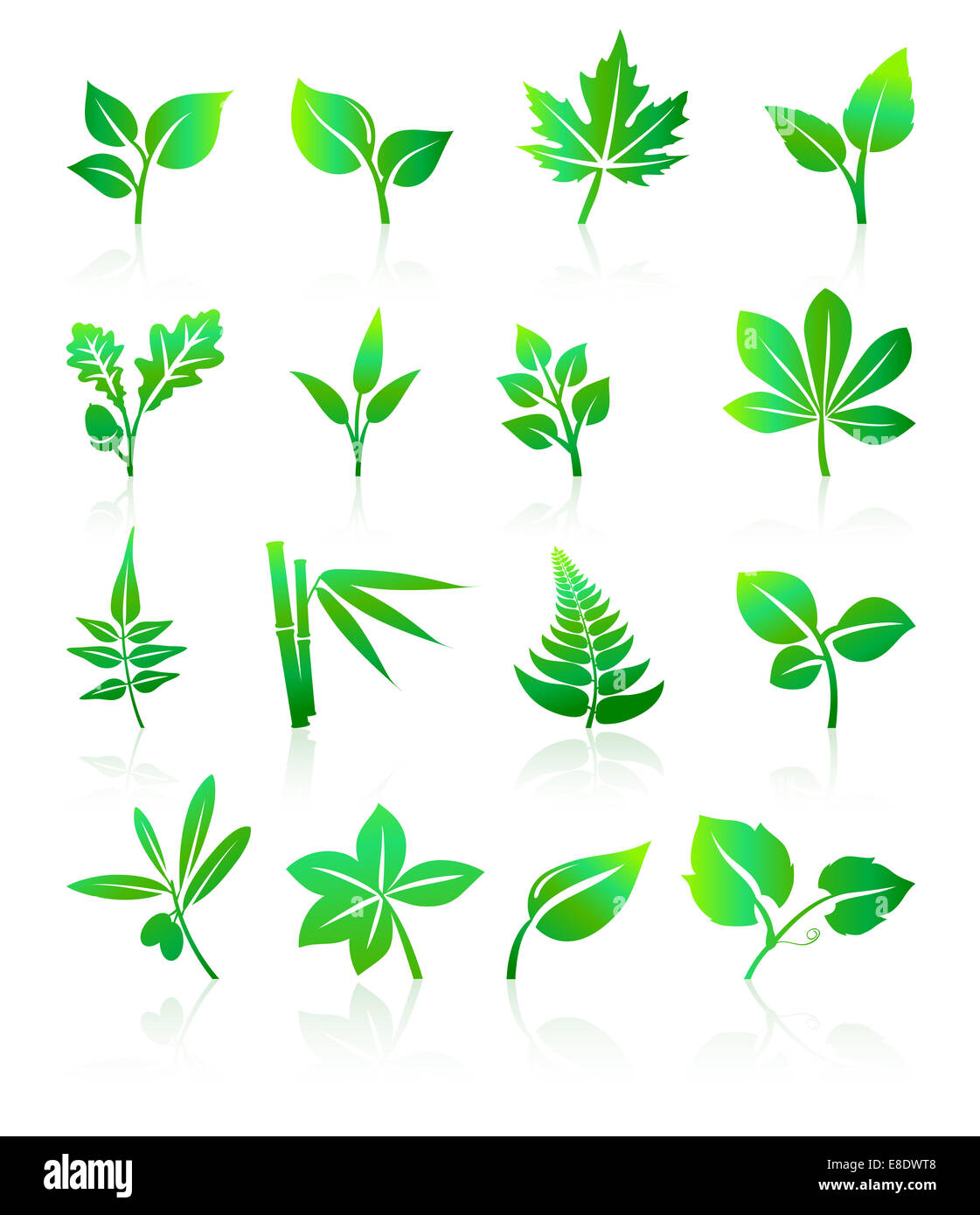 Selection of Vibrant Green Leaf Icons Stock Photo - Alamy
