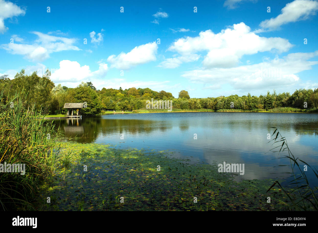 Boathouse and lake at the Oakfield Demesne, Raphoe, County Donegal ...