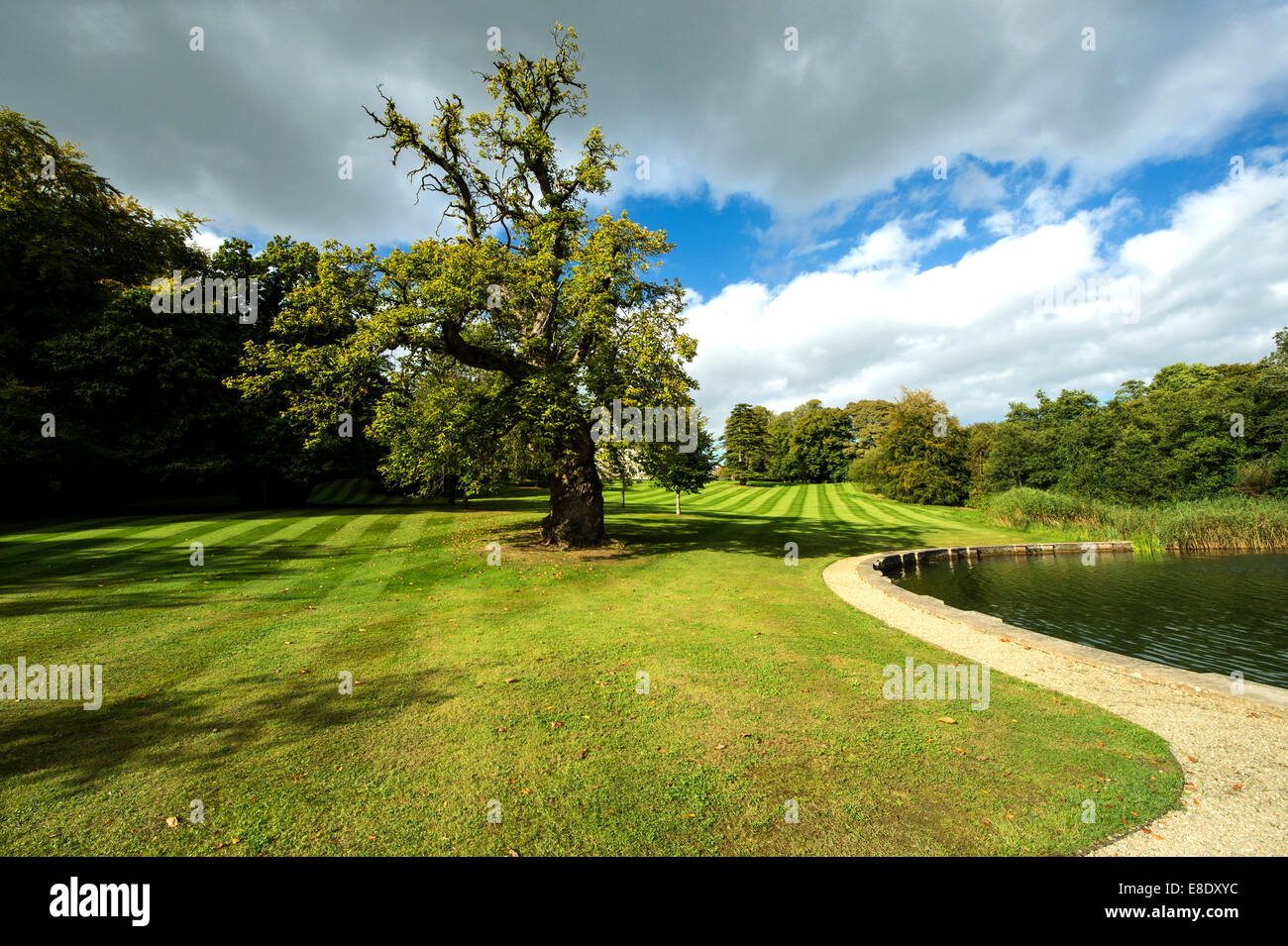 Family tree 18th century hi-res stock photography and images - Alamy