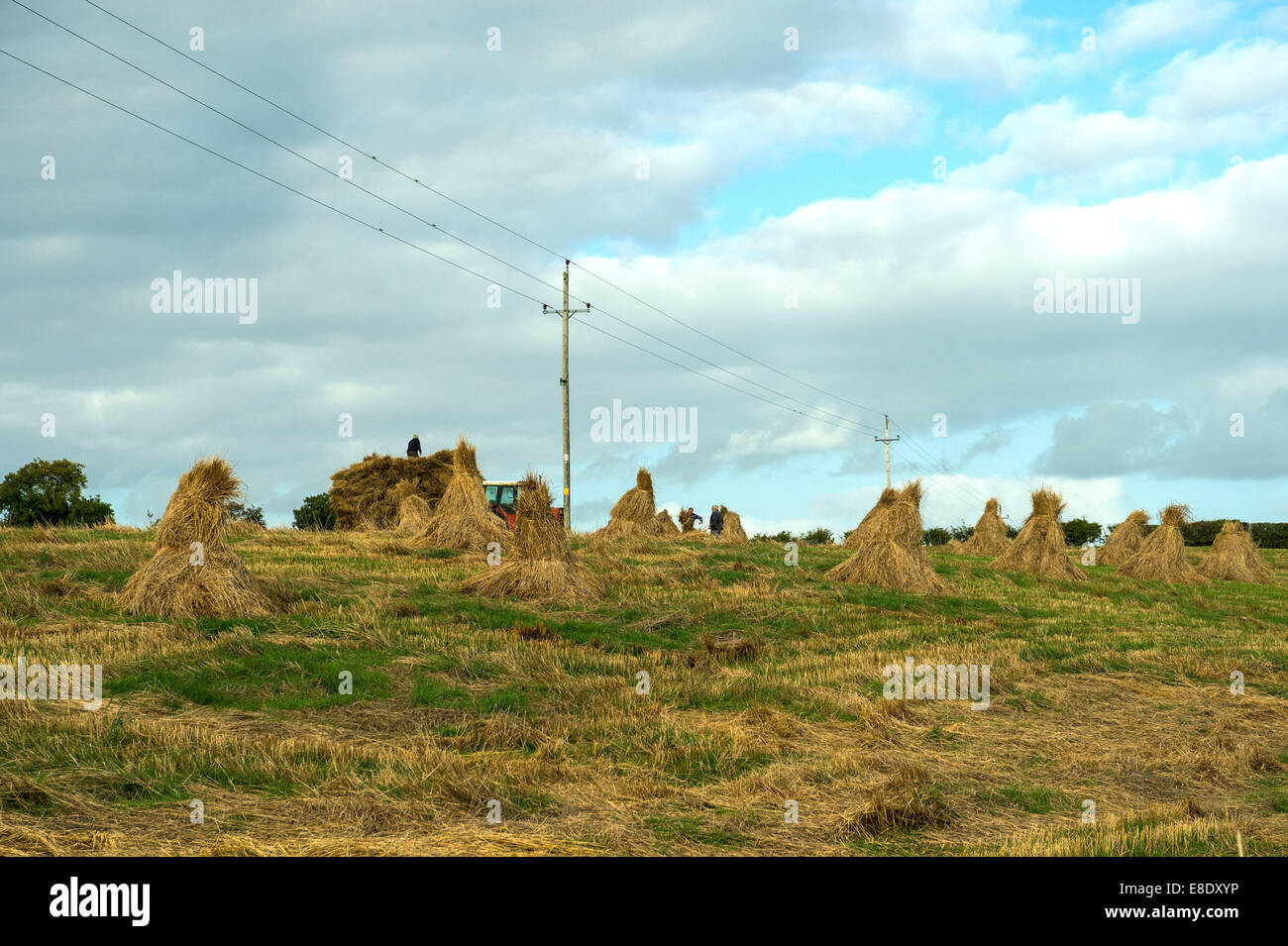 Hay rick ireland hi-res stock photography and images - Alamy