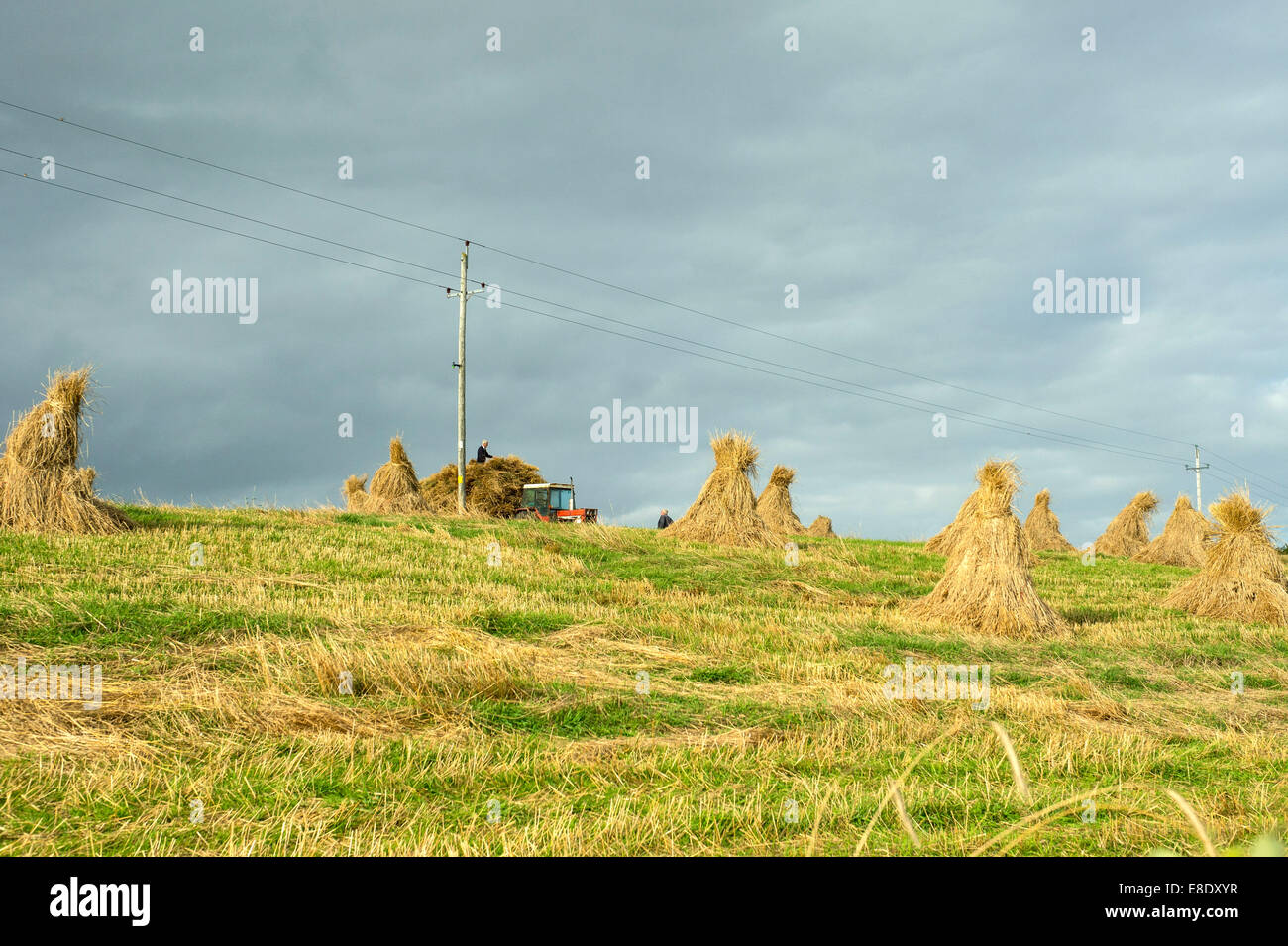 Haystacks on a farm in Newtowncunningham, County Donegal, Ireland ...