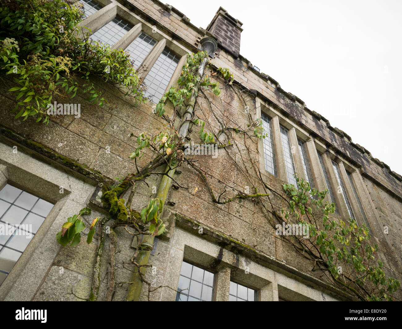 Manor house vine creeping creep hi-res stock photography and images - Alamy