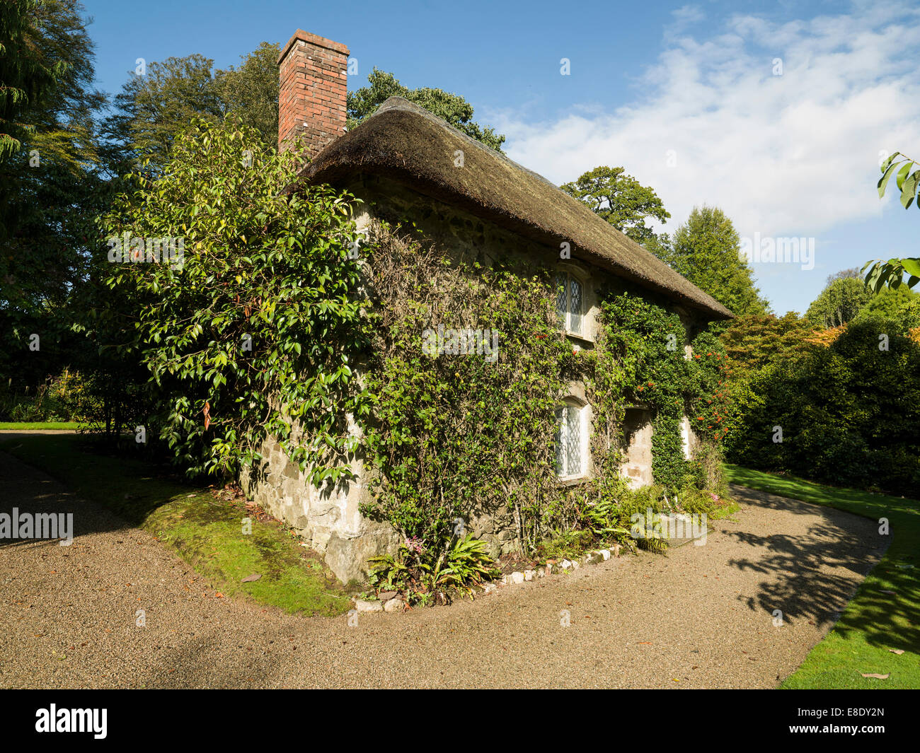 Cornish thatched cottage roof hi-res stock photography and images - Alamy