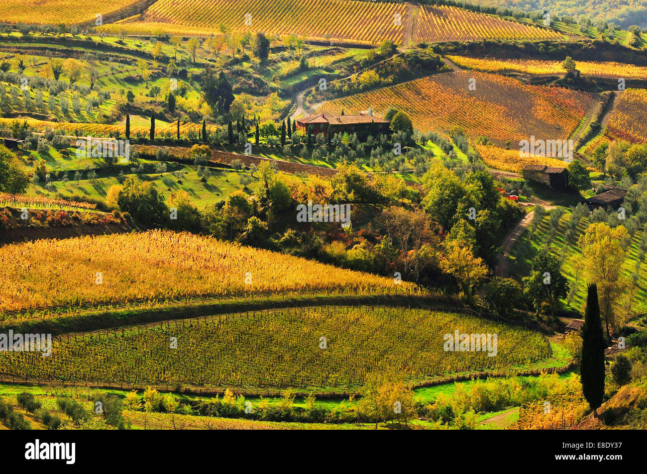 Southern Tuscany, Italy Stock Photo - Alamy
