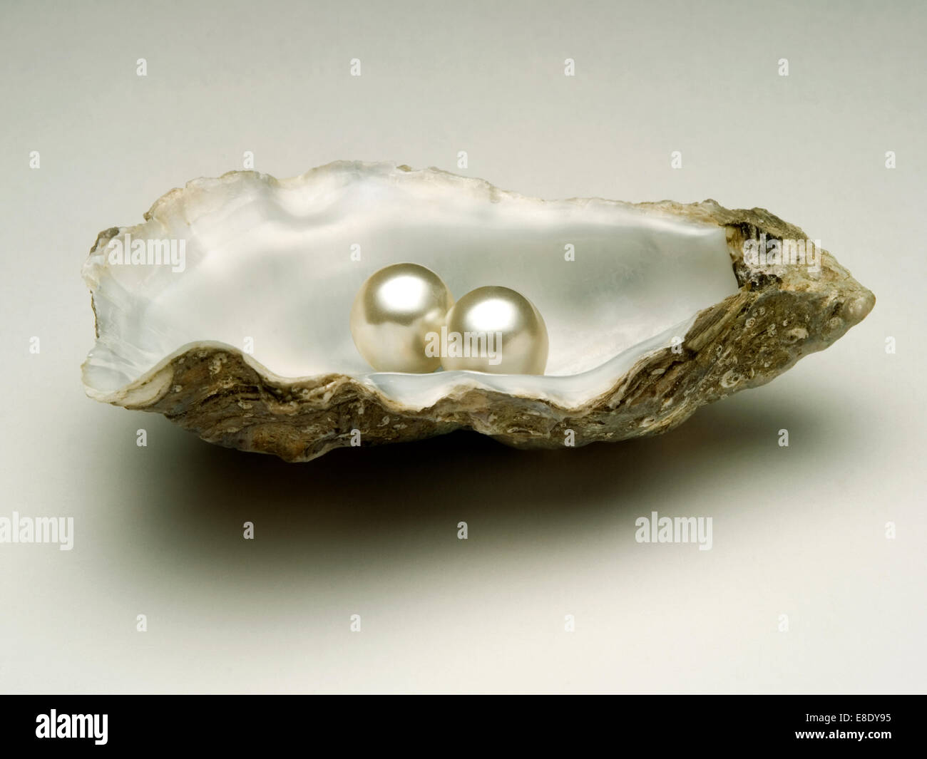OYSTER SHELL WITH 2 PEARLS Stock Photo - Alamy