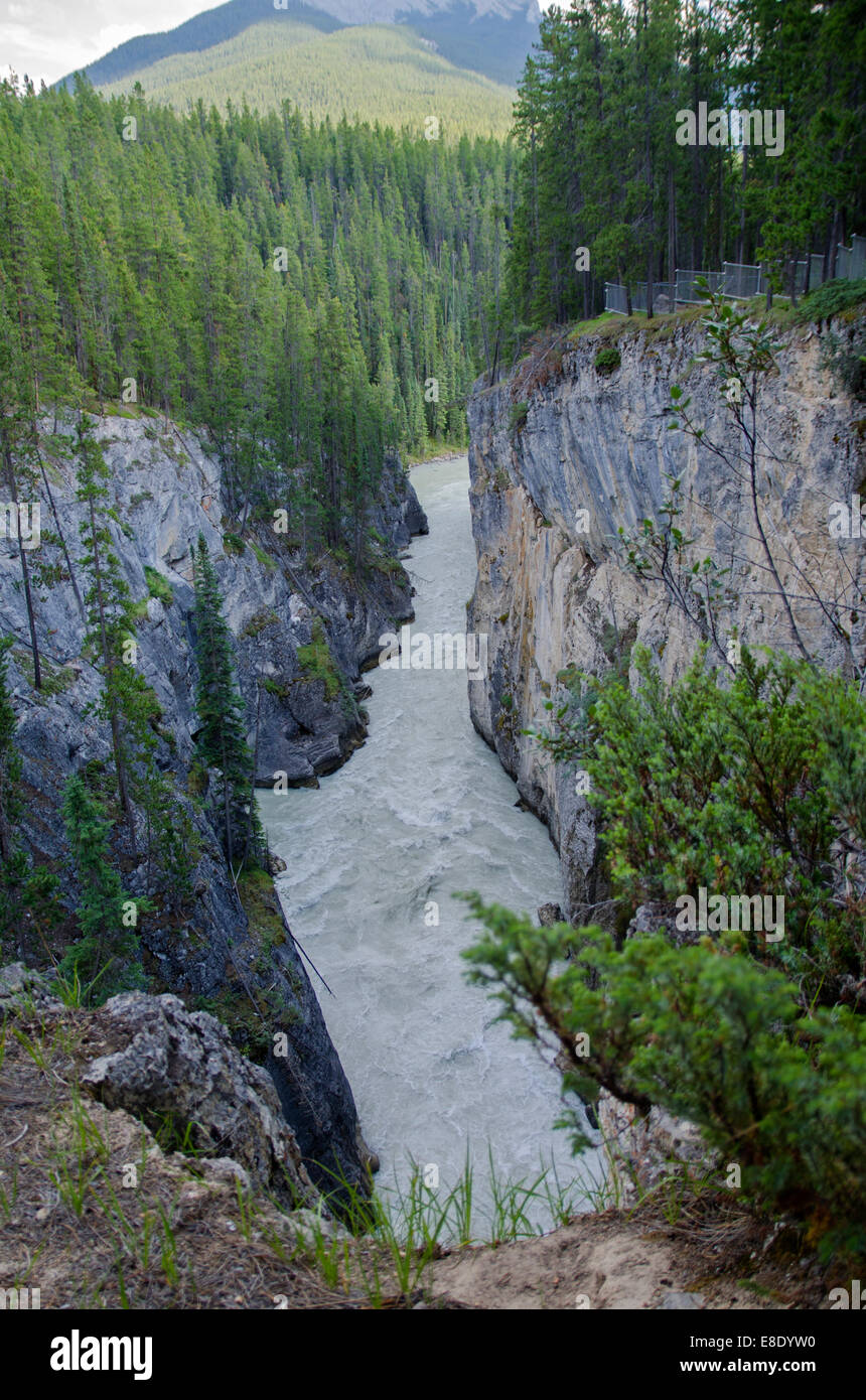 River running through Banff National Park, Canada Stock Photo - Alamy