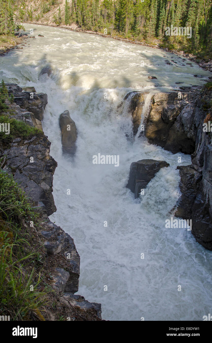 River running through Banff National Park, Canada Stock Photo - Alamy