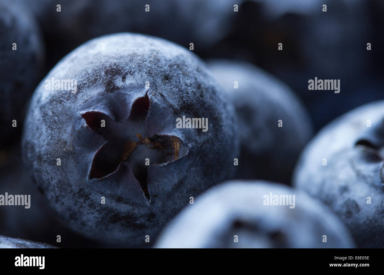 soft image of blueberries Stock Photo - Alamy