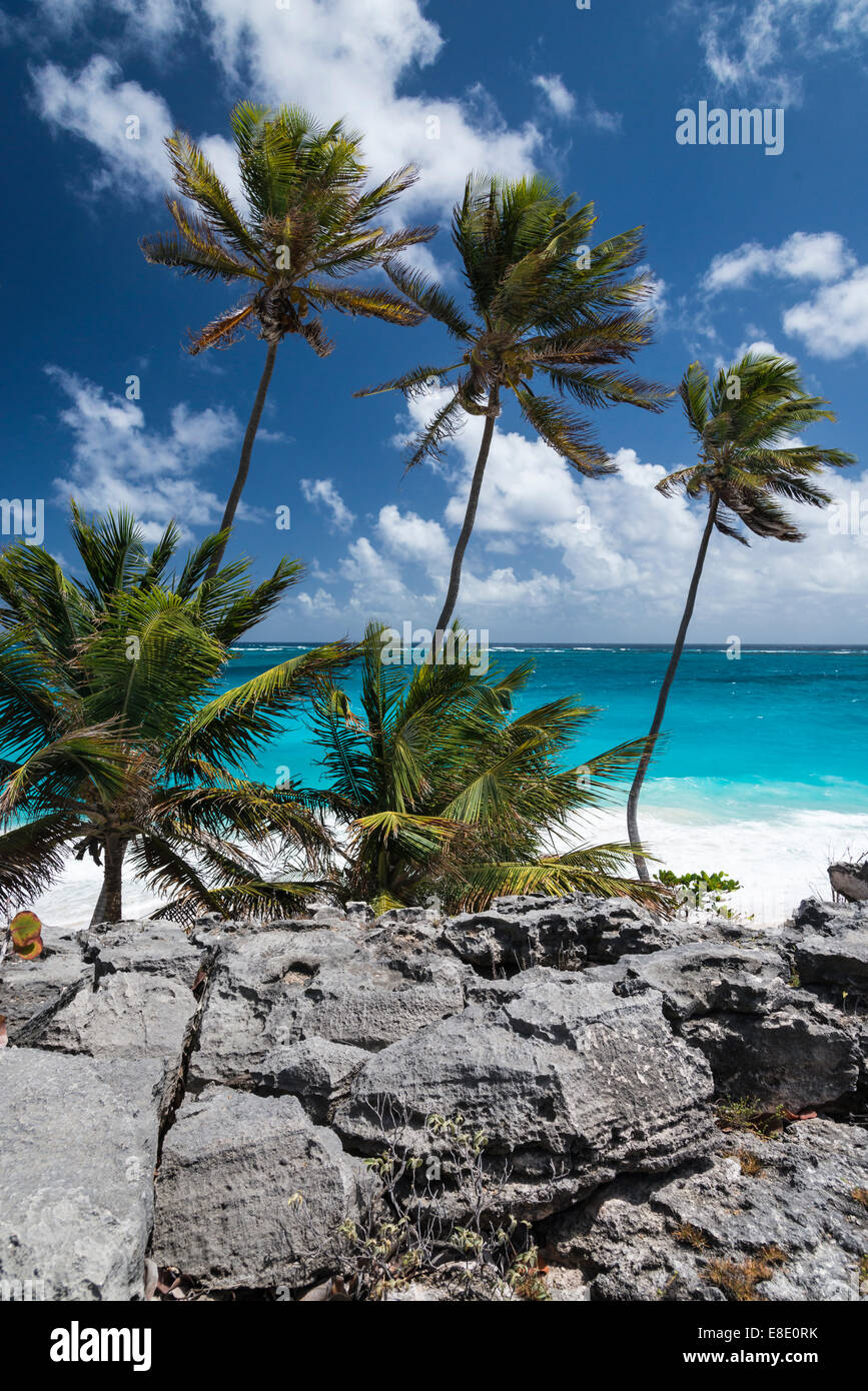 Barbados blue sky with white clouds hi-res stock photography and images ...
