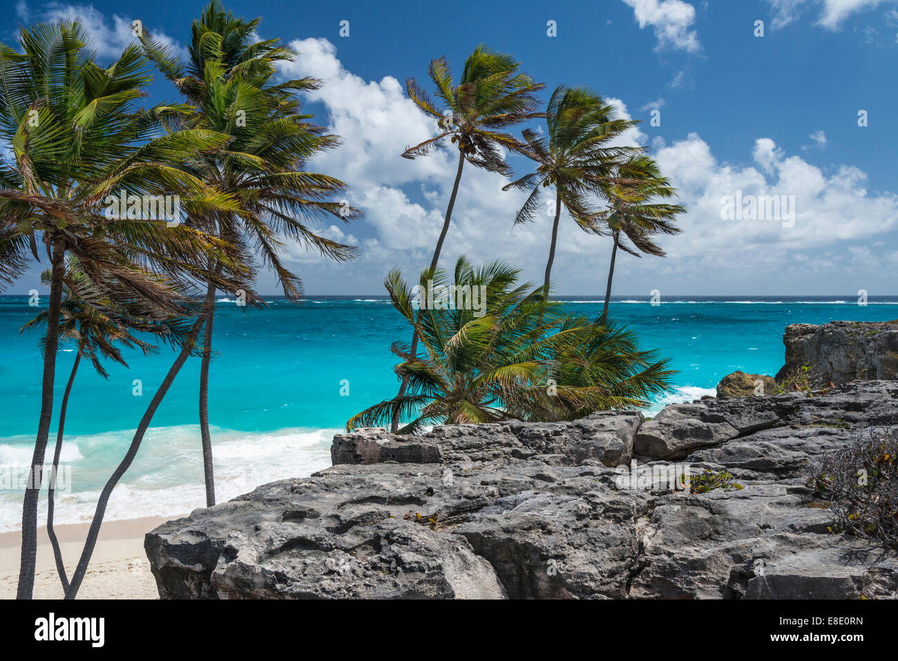 Bottom bay barbados paradise hi-res stock photography and images - Alamy