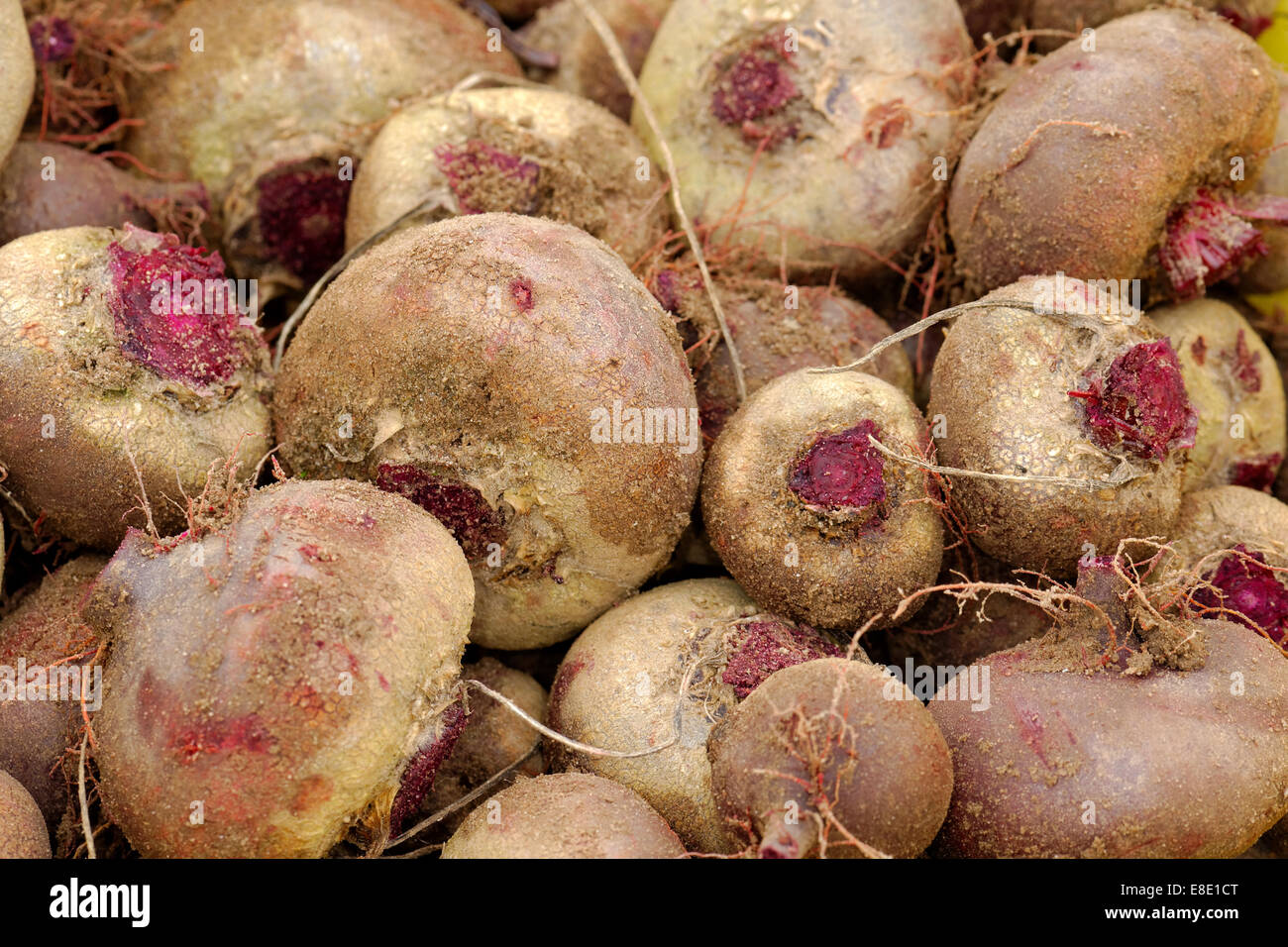 Food from soil hi-res stock photography and images - Alamy