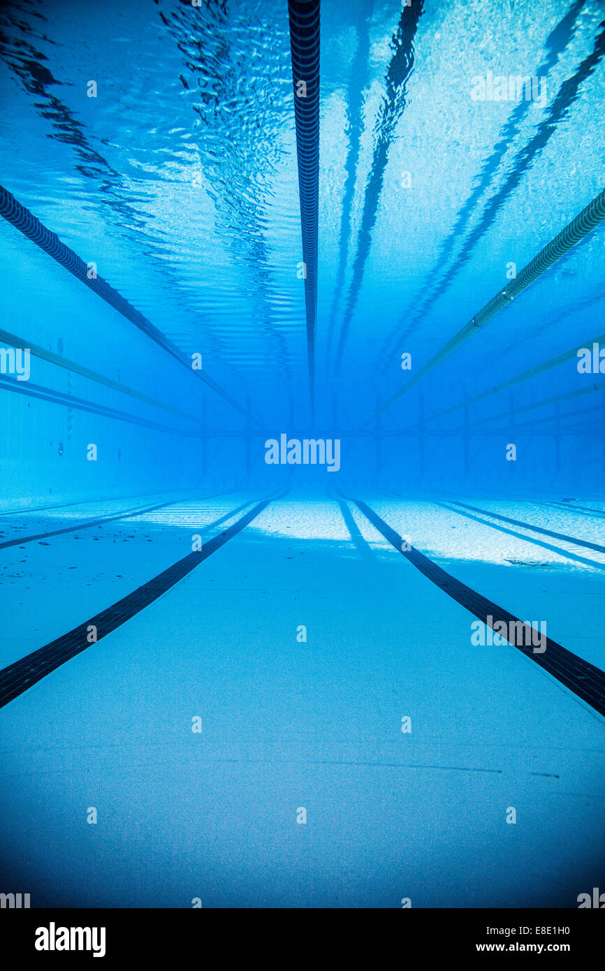 Empty 50m Olympic Outdoor Pool and Dividing lines from Underwater Stock ...