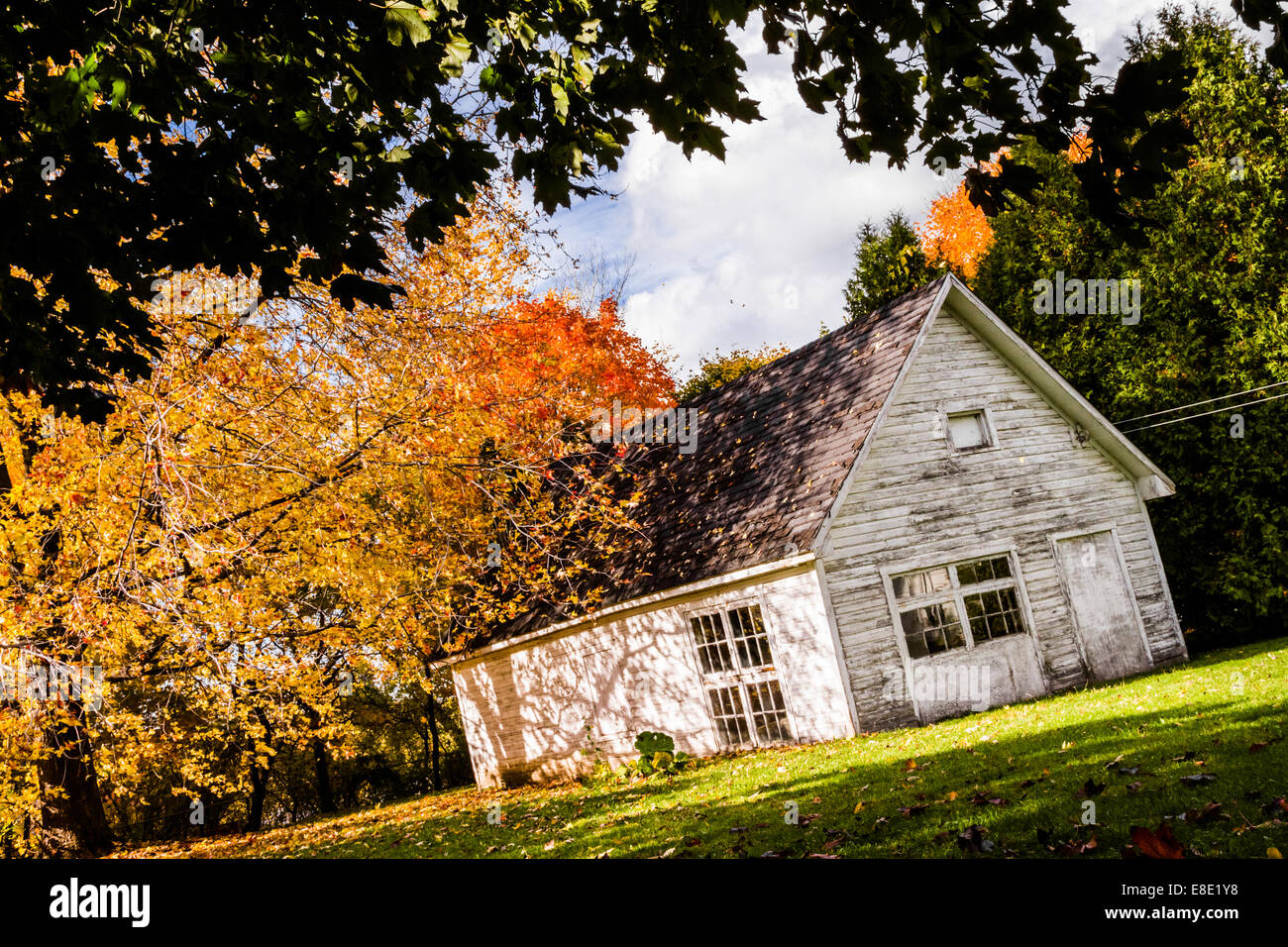 Beautiful Abandoned White Shack during Autumn Season Stock Photo - Alamy