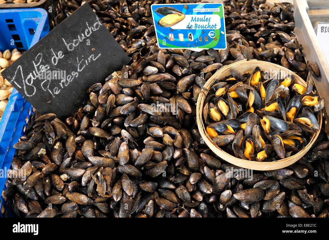mussels on fish market stall, le pouliguen, loire atlantique, france ...
