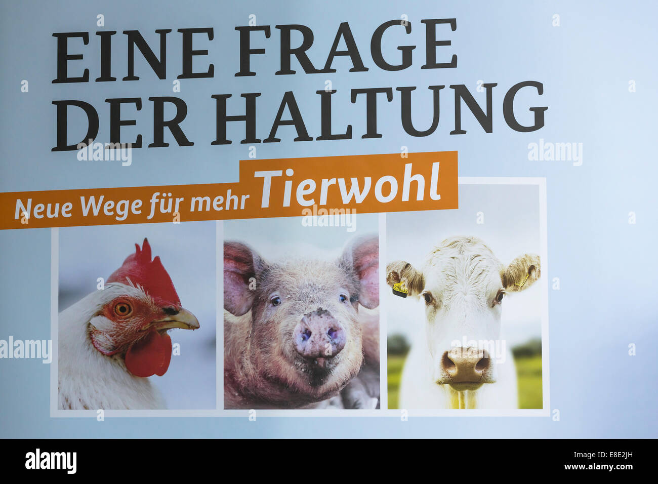 Initiative tierwohl hi-res stock photography and images - Alamy